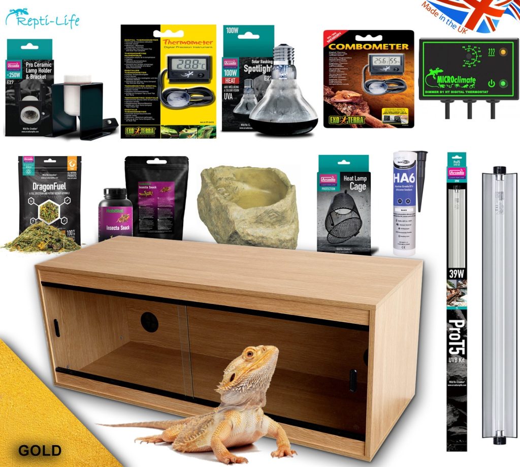 Bearded Dragon Set Ups – Repti Life Vivarums